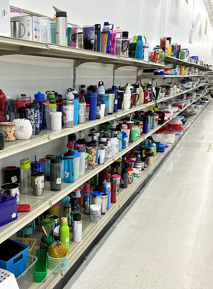 The water bottle section: where hydration meets fashion. More options here than at that fancy kitchen store where everything costs more than your first car.