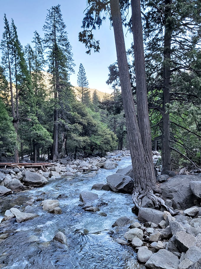 The soundtrack of Yosemite: rushing water composing nature's symphony as it tumbles over ancient rocks polished by centuries of persistence.