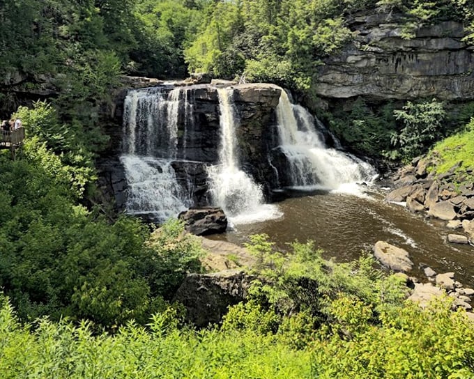 The main event: Blackwater Falls in all its 57-foot glory. When Mother Nature decides to show off, all we can do is stand back and applaud.