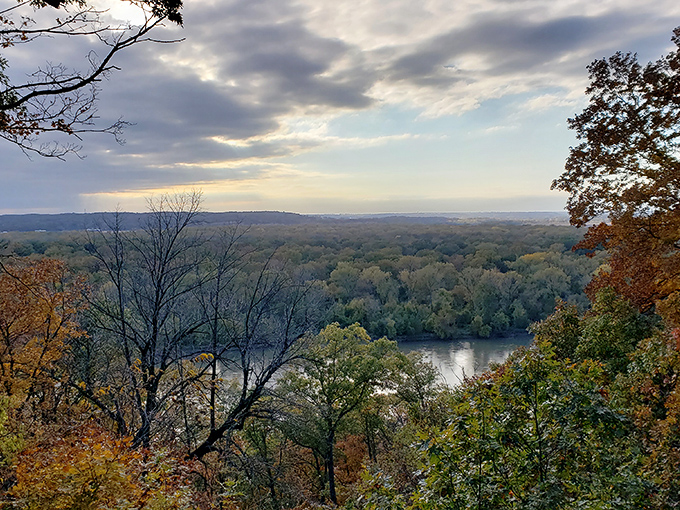 Mother Nature showing off at Weston Bend State Park, where the Missouri River curves through autumn foliage like it's auditioning for a calendar shoot.