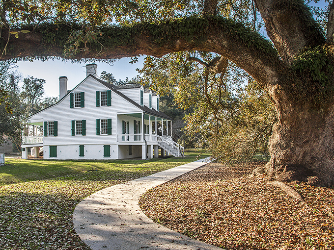 The E.D. White Historic Site whispers tales of Louisiana's past beneath the watchful gaze of centuries-old oak trees.