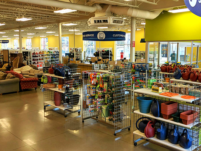 A colorful wonderland of household goods awaits, with everything from watering cans to furniture arranged in a shopper's paradise.