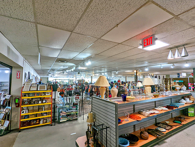 Step inside and the adventure begins! Lamps, shoes, and housewares create a carefully organized chaos that would make Marie Kondo both nervous and proud.