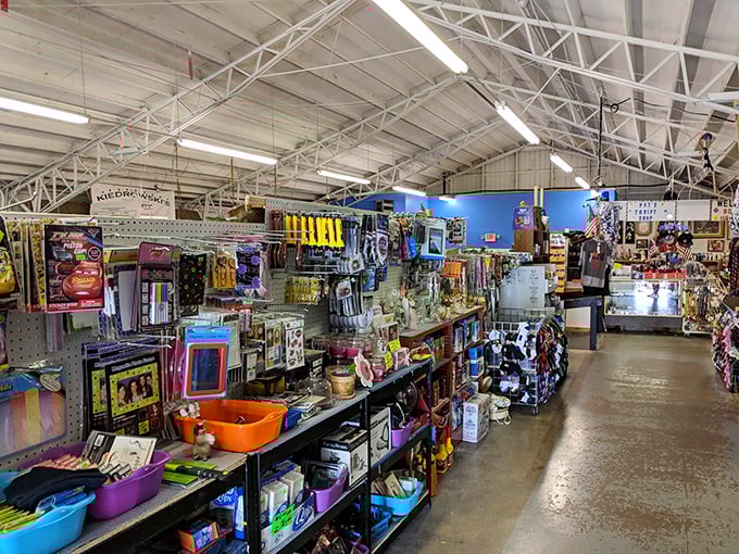 Aisles that seem to stretch into infinity, each shelf a potential gold mine. Indiana Jones never had it this good.