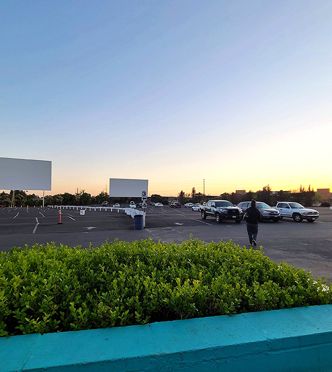 The golden hour casts its spell across the drive-in landscape, where blank screens await nightfall's movies while hedges add a touch of California greenery.
