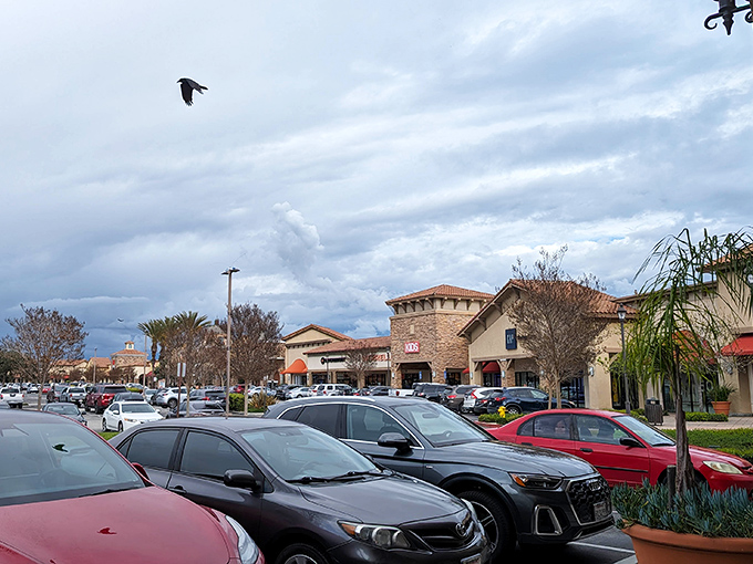 Cloudy days are rare in Camarillo, but even when they appear, the promise of discounted treasures keeps the parking lot packed.