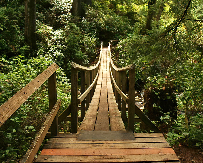 This suspension bridge isn't just a path&mdash;it's a portal between everyday life and coastal magic.