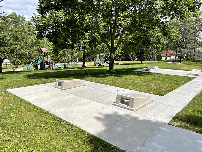Woodland Park offers the perfect spot for contemplating life's big questions or simply watching squirrels contemplate their own nutty dilemmas.