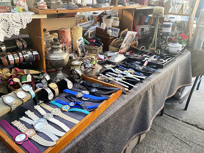 Time stands still at this vintage watch display, where decades of craftsmanship line up like soldiers awaiting their next wrist assignment.