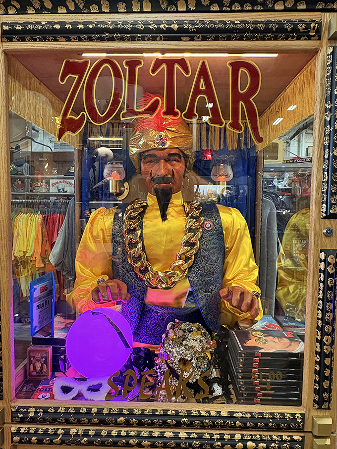 Meet Zoltar, the mystical fortune teller who's seen more decades than he's willing to admit. His predictions come with a side of nostalgia.