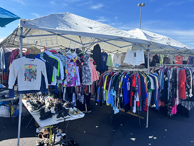 Fashion finds hang in hopeful formation, a rainbow of possibilities for style-seekers working with champagne taste on a beer budget.