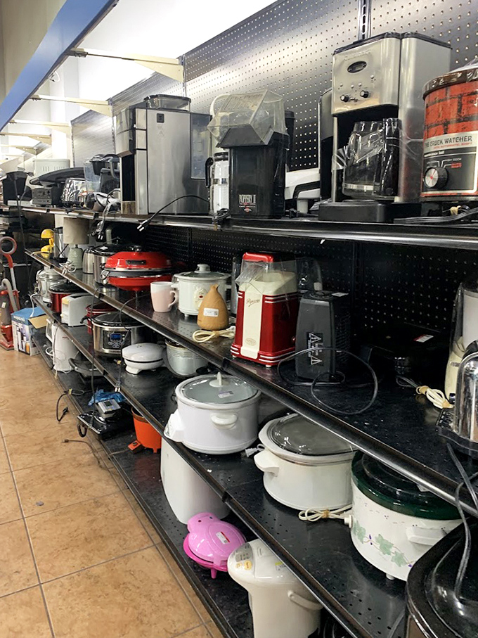 Kitchen dreams come true in the appliance section, where yesterday's high-end gadgets become tomorrow's culinary companions at wallet-friendly prices.