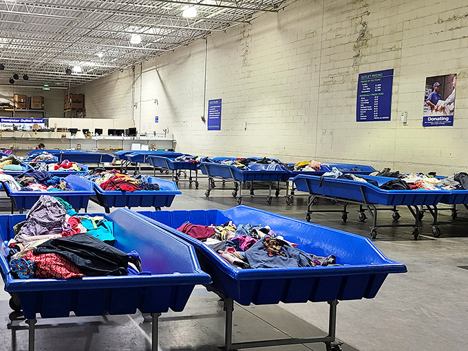The famous blue bins of destiny, where dedicated shoppers sift through mountains of clothing like archaeologists on the verge of discovering the next great find.
