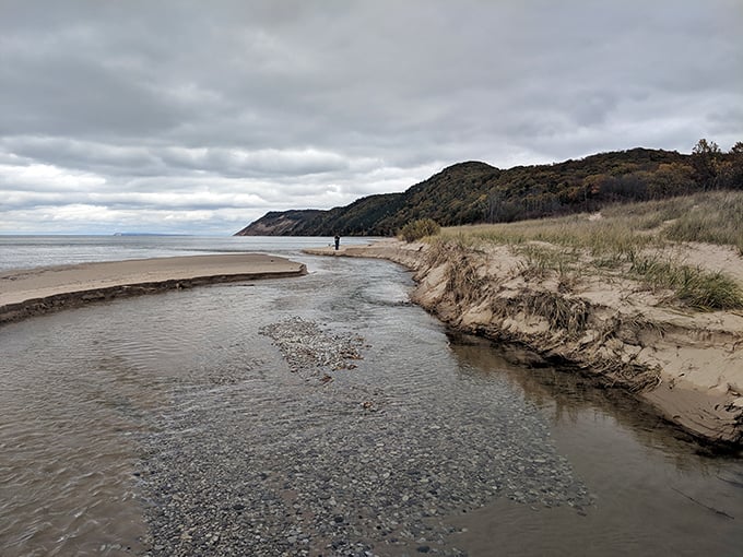 Otter Creek carves its path to Lake Michigan, creating a natural playground where water meets sand in perfect harmony.