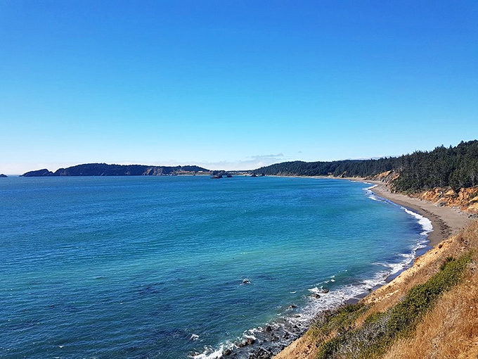 Fifty shades of blue, not a bestseller but a best view. This pristine stretch of Oregon coastline reminds us why we travel in the first place.