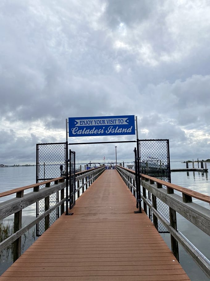"Enjoy Your Visit" isn't just a sign&mdash;it's a promise. This gateway to Caladesi Island delivers on Florida's best-kept coastal secret.