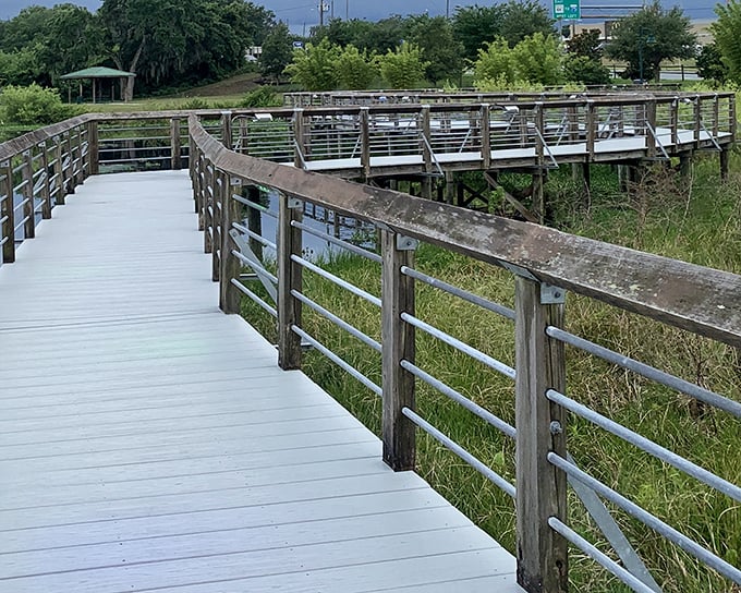 Nature's therapy session comes free of charge on Inverness' boardwalks, where the only traffic jams involve turtles sunning themselves on fallen logs.