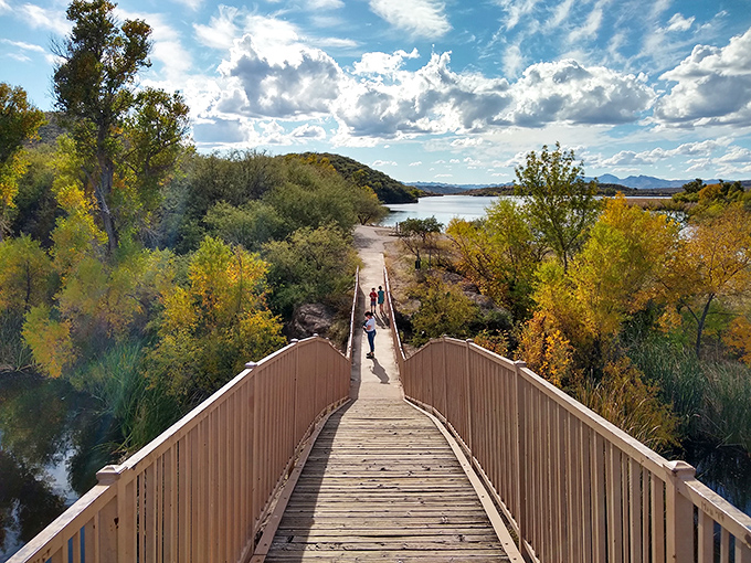 This wooden boardwalk promises adventure at every step, leading visitors through autumn foliage that Arizona wasn't supposed to have according to the brochures.