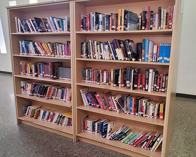 Literary treasures stacked with care&mdash;where bestsellers of yesteryear mingle with classics, all waiting for their next adventure with you.