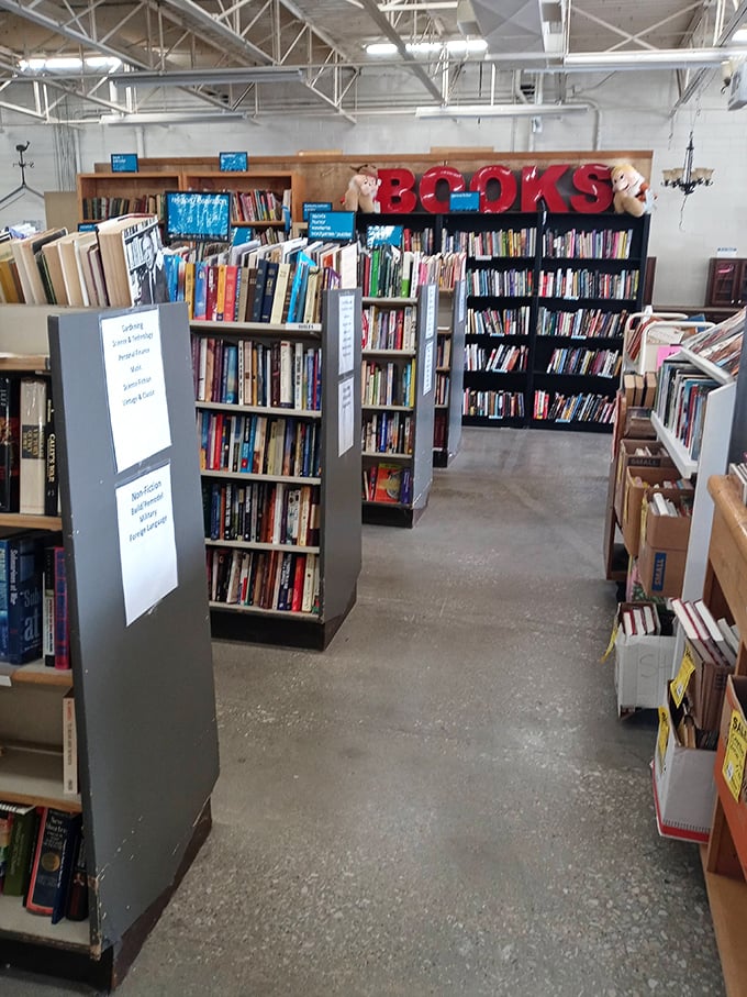 The book section rivals many small-town libraries, offering literary treasures where bestsellers and forgotten classics mingle on well-organized shelves.
