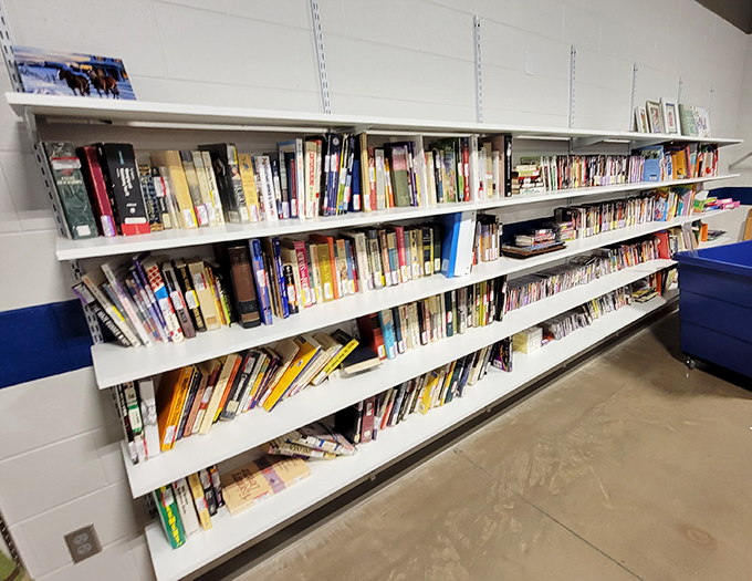 The literary corner: where forgotten bestsellers and overlooked gems find new readers. Your next favorite book is hiding here for $1.99.