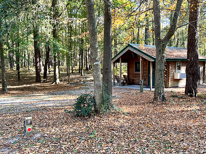 Rustic cabins nestled among towering pines offer a cozy retreat after a day of exploration&mdash;like summer camp for grown-ups!
