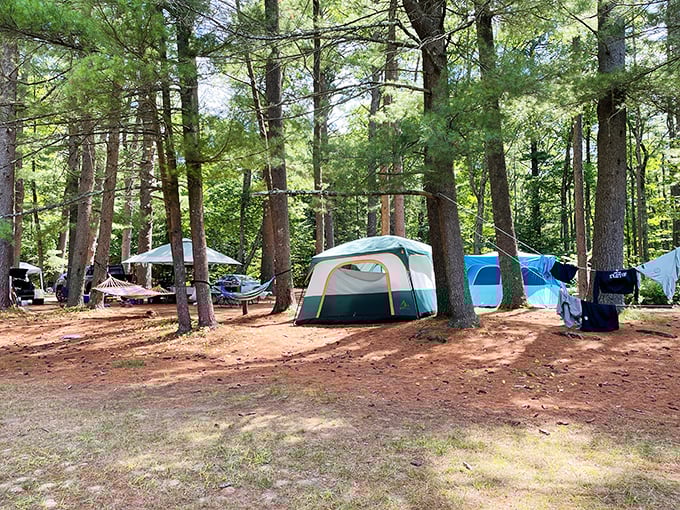 Camping among towering pines at Bear Brook feels like sleeping in nature's five-star hotel&mdash;minus the turndown service, plus a million stars overhead.