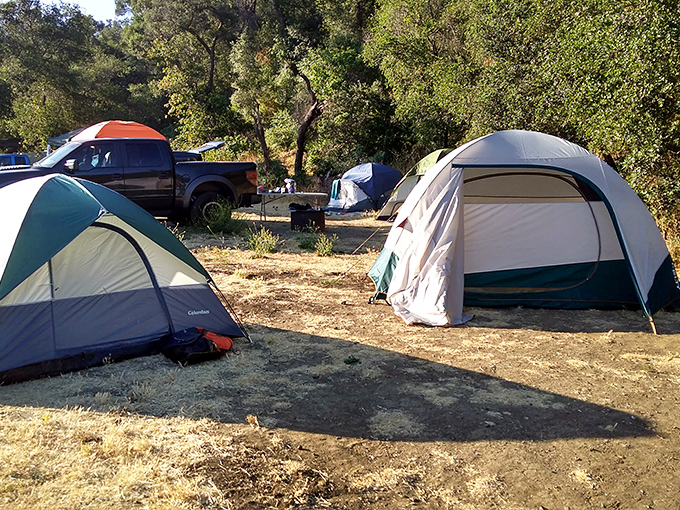 When your bedroom has an ocean-view price tag but your tent site delivers mountain majesty at reasonable rates, camping wins.