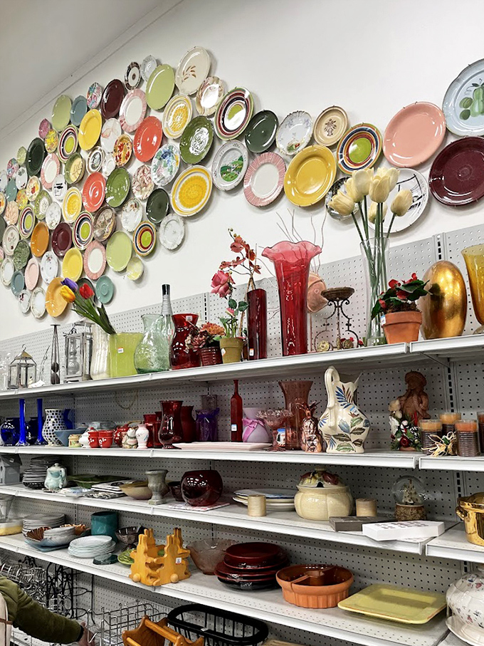 The wall of plates isn't just decor&mdash;it's a ceramic timeline of American dining history, from mid-century modern to yesterday's IKEA.