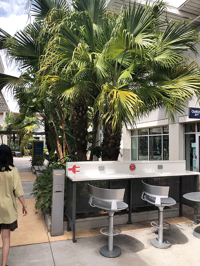 Nature meets commerce as lush palm fronds create natural shade over modern charging stations. Shopping breaks never looked so tropical.