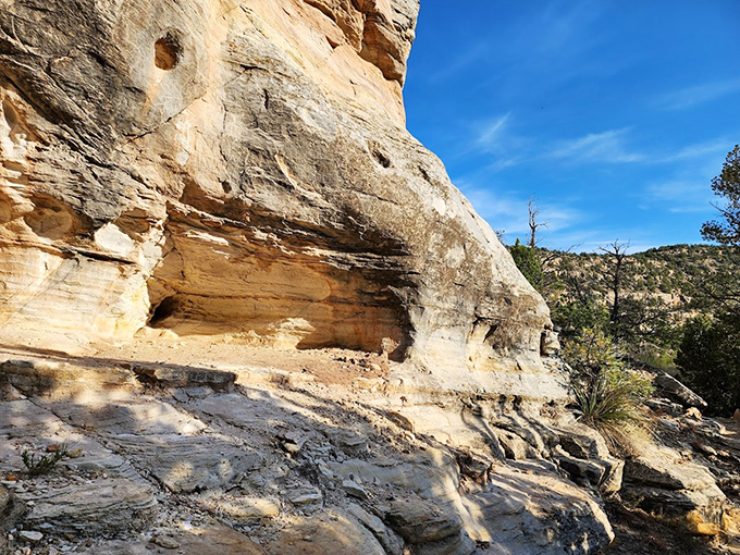 Sandstone formations tell geological stories millions of years in the making&mdash;like reading Earth's autobiography written in rock.