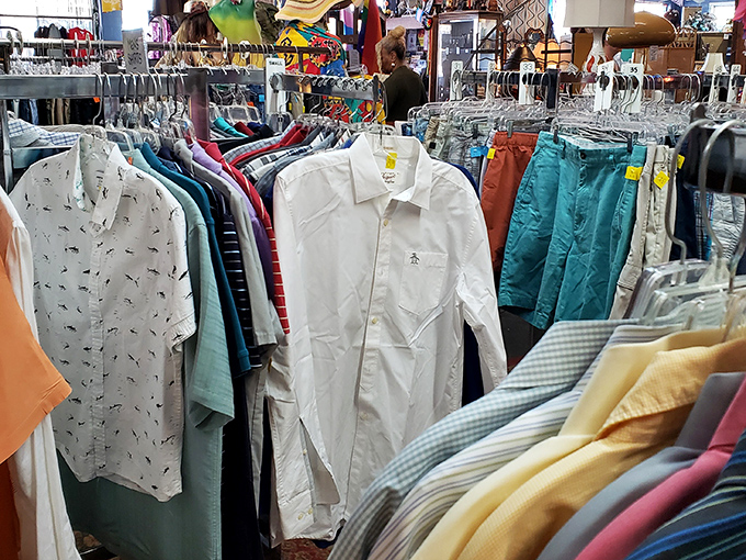 Not your average clothing rack! These meticulously organized shirts and pants await their second chance at fashion stardom.