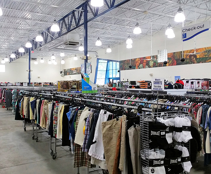 A rainbow of garments marches in orderly formation, each hanger a soldier in the army of affordable fashion.