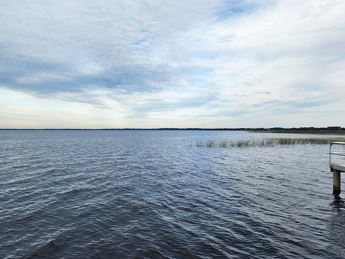 The vast expanse of East Lake Toho offers a peaceful alternative to Florida's crowded coastal scenes.