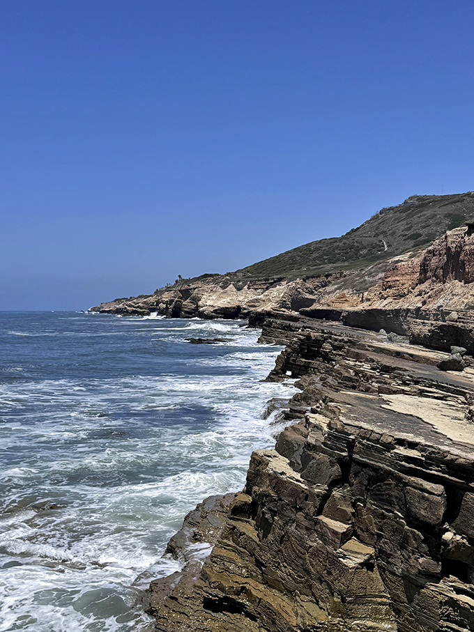 Nature's architecture rivals human engineering along Point Loma's rugged coastline, where waves have been sculpting masterpieces for millennia.
