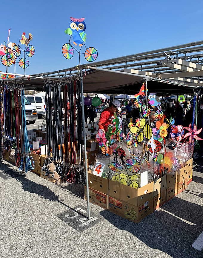 Whirling garden spinners dance in the breeze like a kaleidoscope of childhood memories come alive.