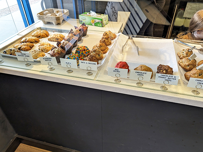 Cookie temptations that make diet plans vanish faster than your shopping budget. These sweet treats fuel serious bargain hunters between store conquests.