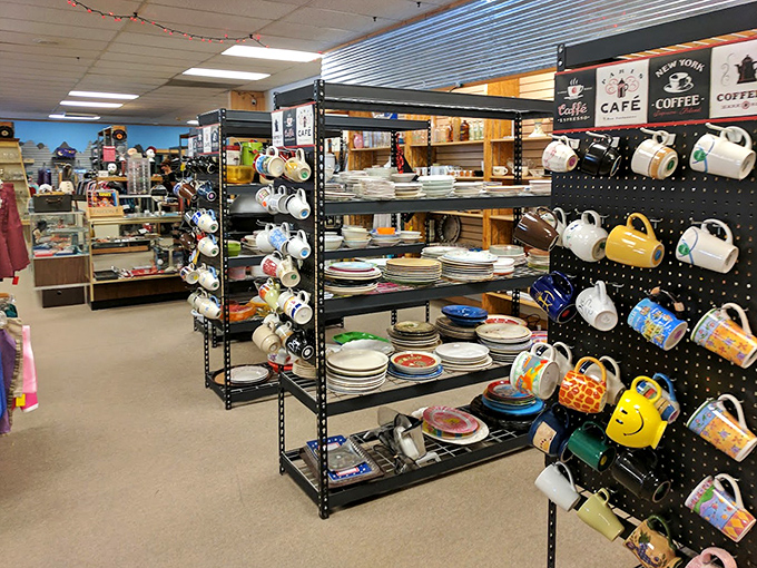 Mug heaven exists! Each cup hanging here has survived countless morning routines before waiting patiently to join yours.