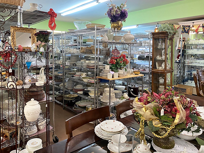 Dish paradise! More plates than an all-you-can-eat buffet, but with better stories behind them and none of the indigestion.