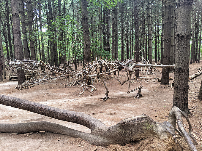 Nature's sculpture garden features this impressive stick dinosaur. Proof that kids' imagination thrives when you take away the charging cables.