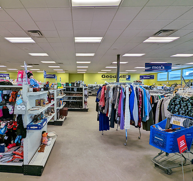 Wide aisles and clear signage make navigating this treasure trove a breeze, unlike some thrift stores that feel designed by an overcaffeinated maze architect.