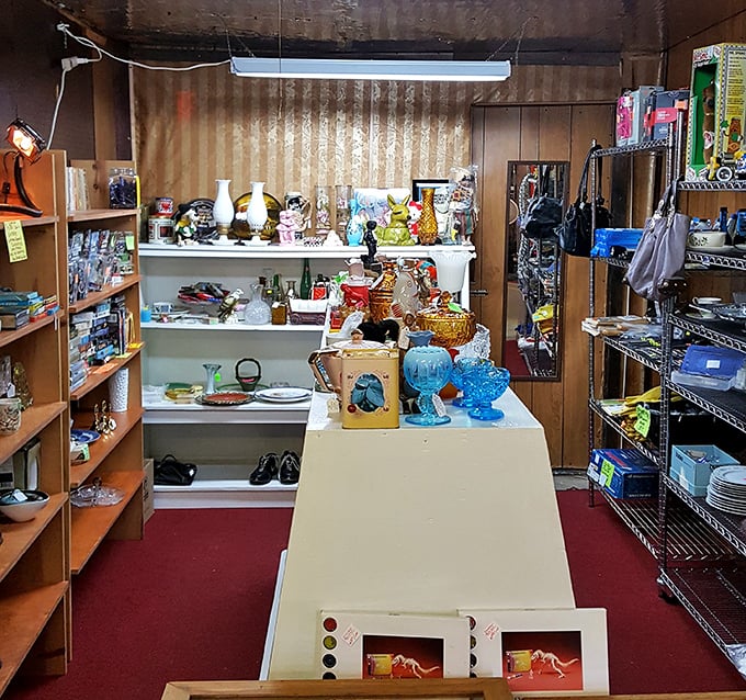 Every shelf tells a story in this collector's paradise. From vintage glassware to forgotten kitchen gadgets, each item waits patiently for its second act.