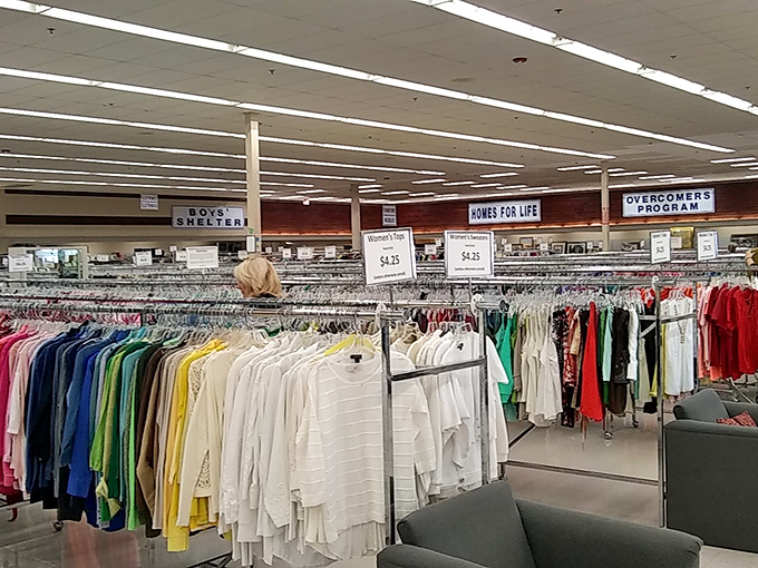Color-coded clothing racks stretch toward the horizon like a rainbow of possibilities. Each hanger holds someone's future favorite shirt or perfect interview outfit.