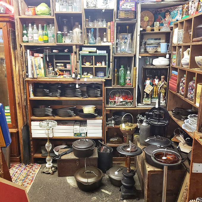 Cast iron cookware and glassware create a symphony of possibilities for your kitchen renaissance.