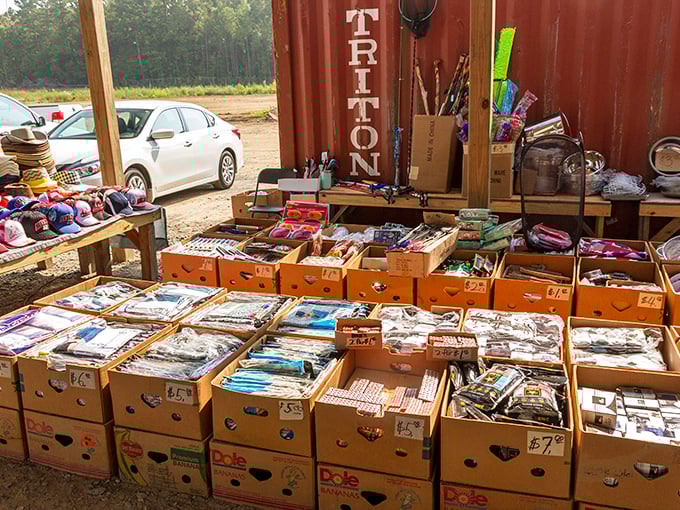 Organization meets opportunity in these neatly arranged boxes. One person's castoffs become another's craft supplies or collectibles.