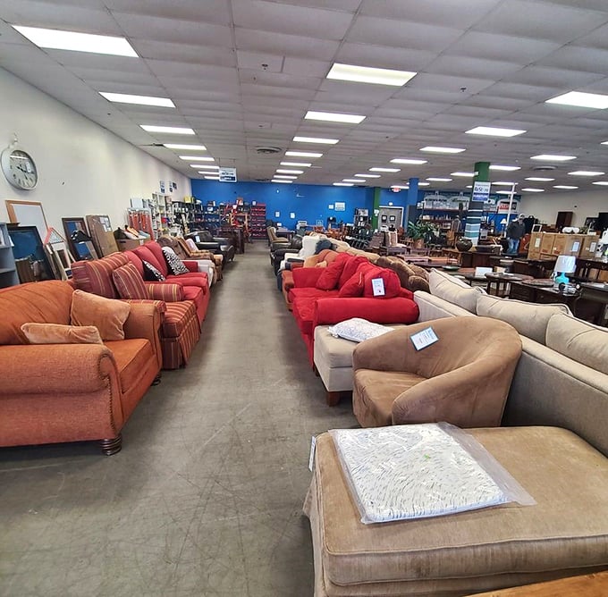 The sofa lineup looks like a furniture family reunion&mdash;each with stories to tell and comfort to offer at prices that won't make you wince.