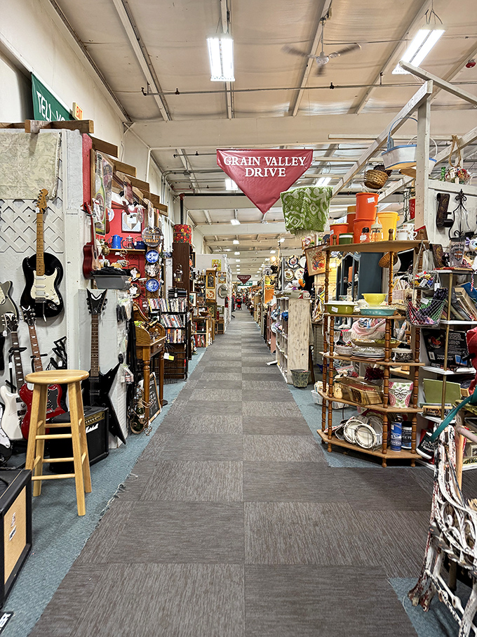 Down the rabbit hole you go! These endless aisles of carefully organized chaos are where three-hour "quick visits" become legendary family stories.