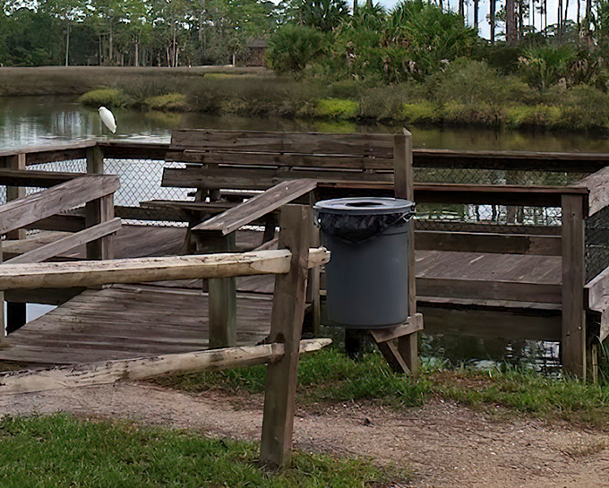Even the local wildlife appreciates a good fishing spot. That egret probably has better patience than most weekend anglers!