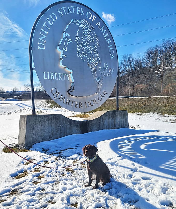 Even four-legged friends appreciate the oversized currency. This pup seems to be wondering if it could buy a mountain of treats.