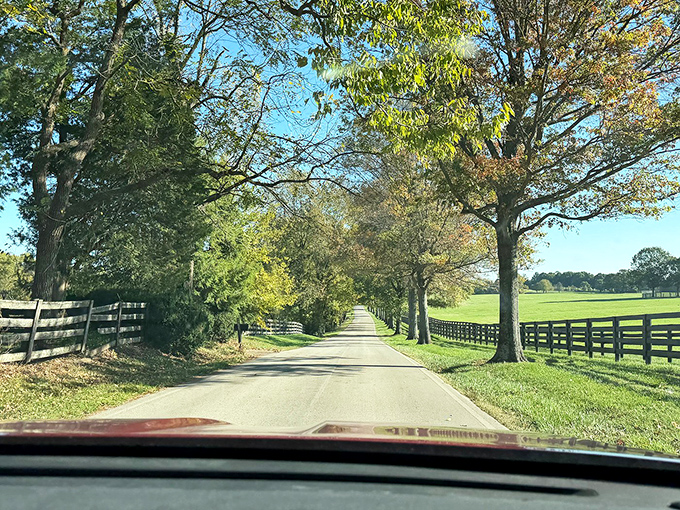 Kentucky's version of the yellow brick road, except instead of Oz, you're headed toward horse country paradise.
